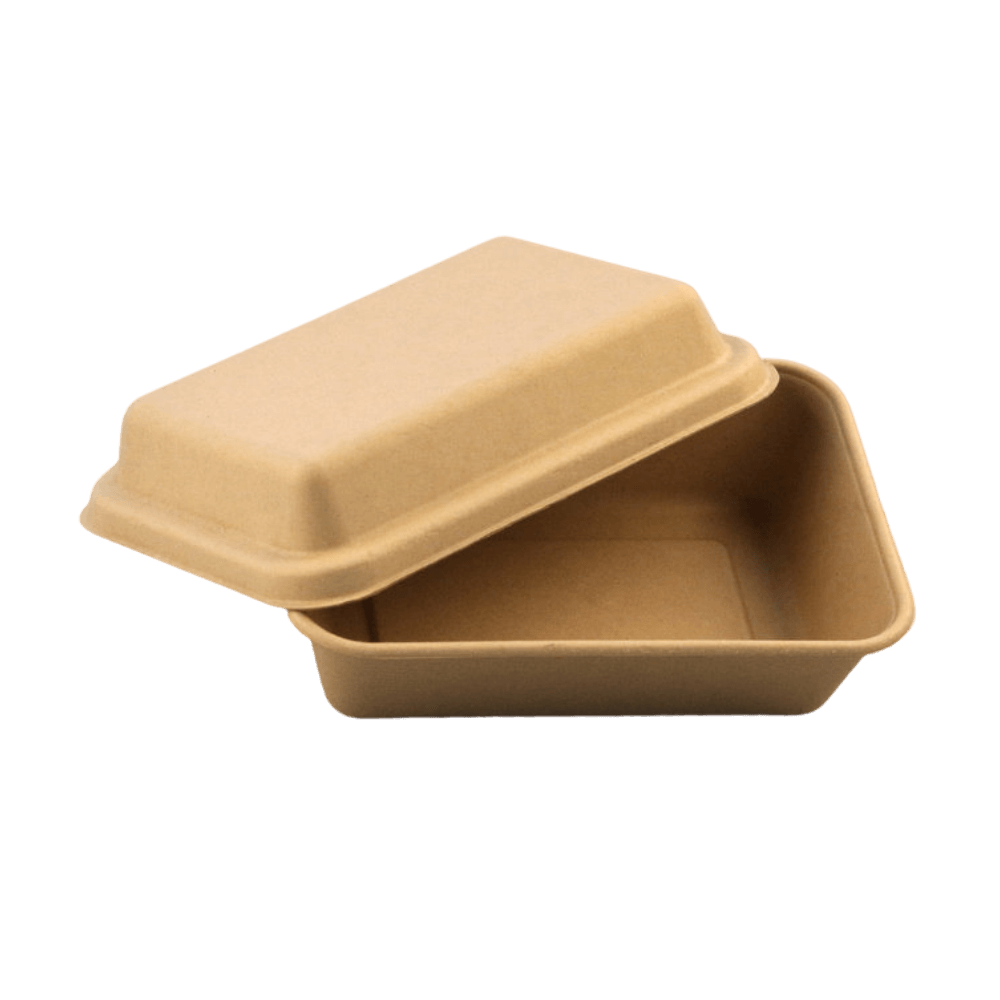Sugar Cane Food Container - Compare Eco Friendly Brands 2021